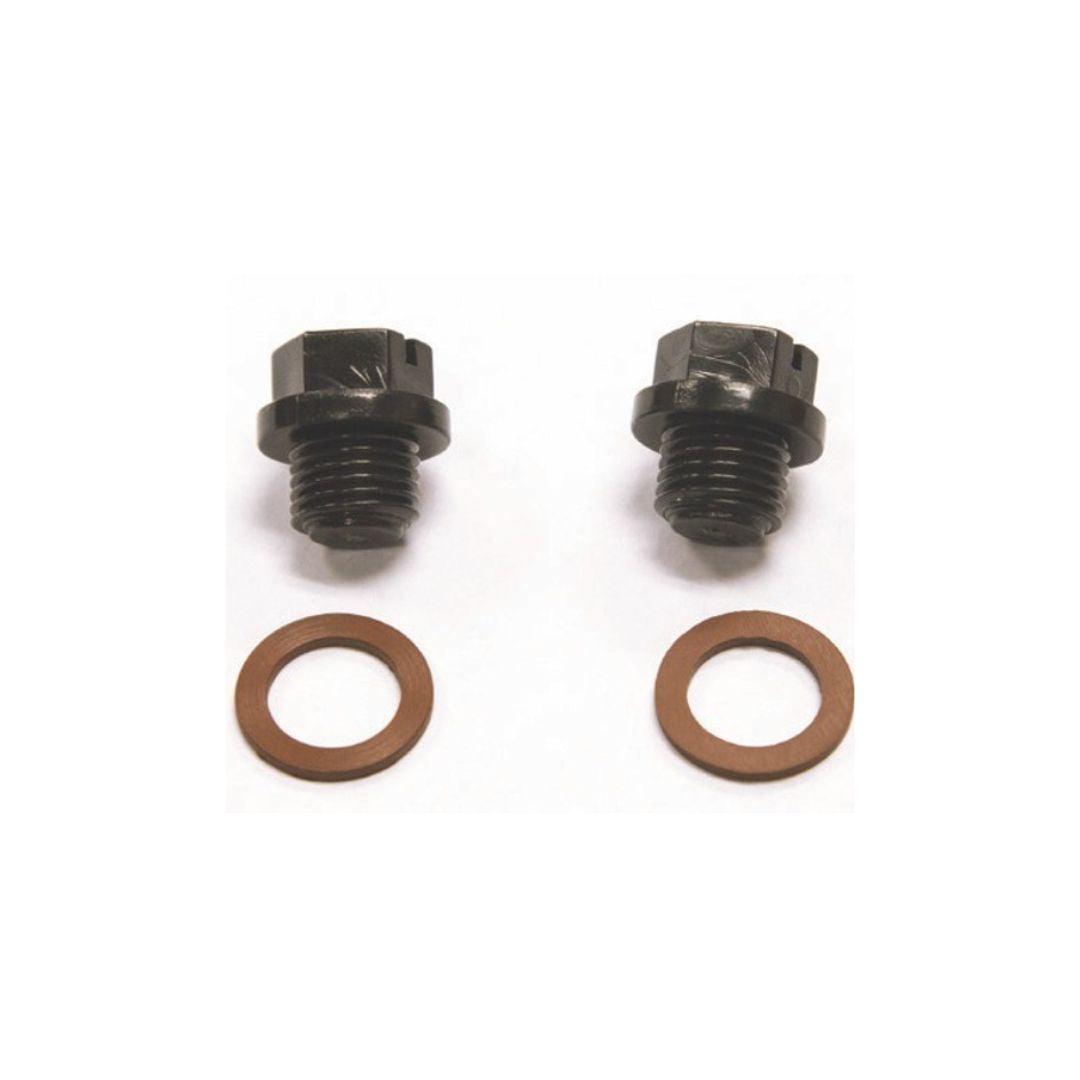 1/4" Plug w/Viton O Ring 2 Pk Hayward SPX1700FGV – Pool Nation USA